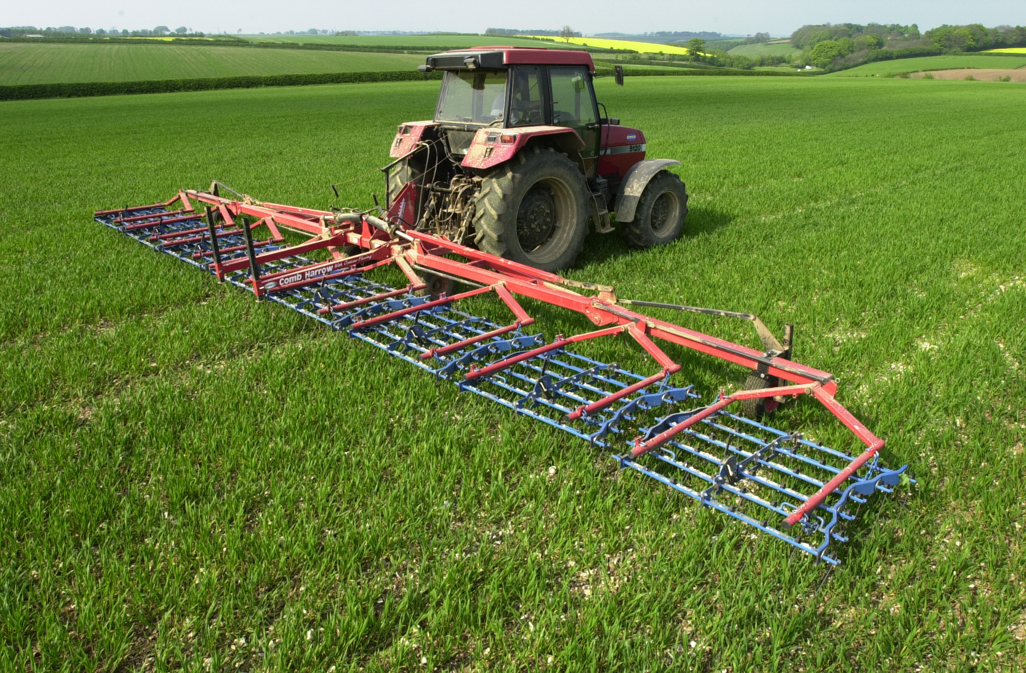 Comb Harrow Tine Weeder