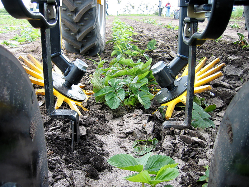 Specialist Crop Weeding - OPICO Products