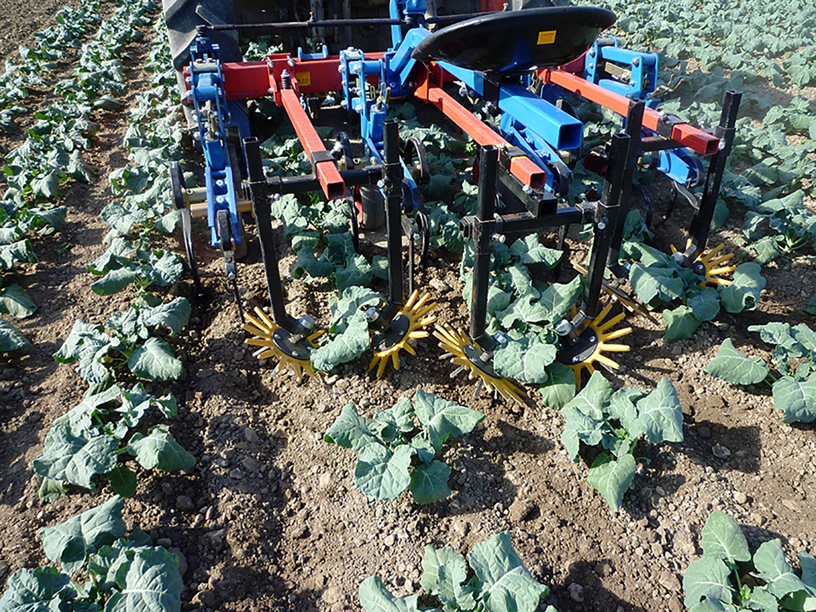 Specialist Crop Weeding - OPICO Products