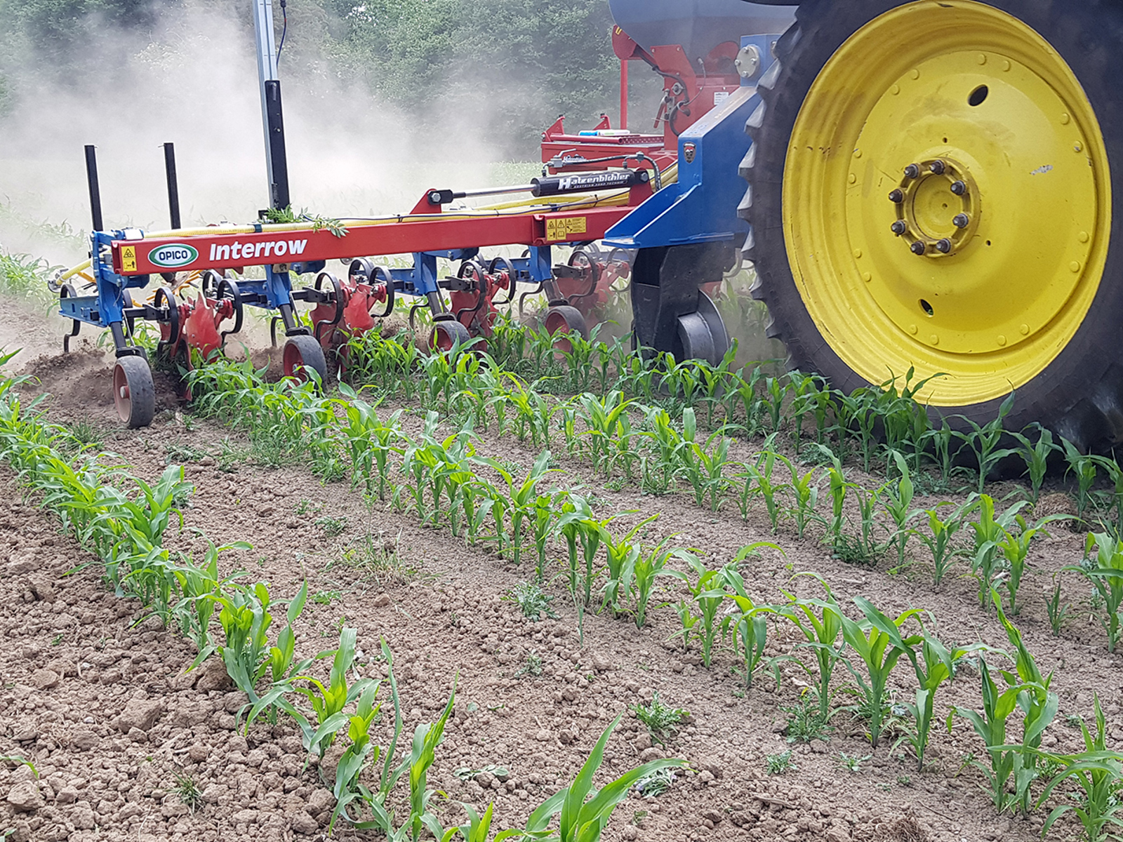 Inter-Row Cultivator - OPICO Products