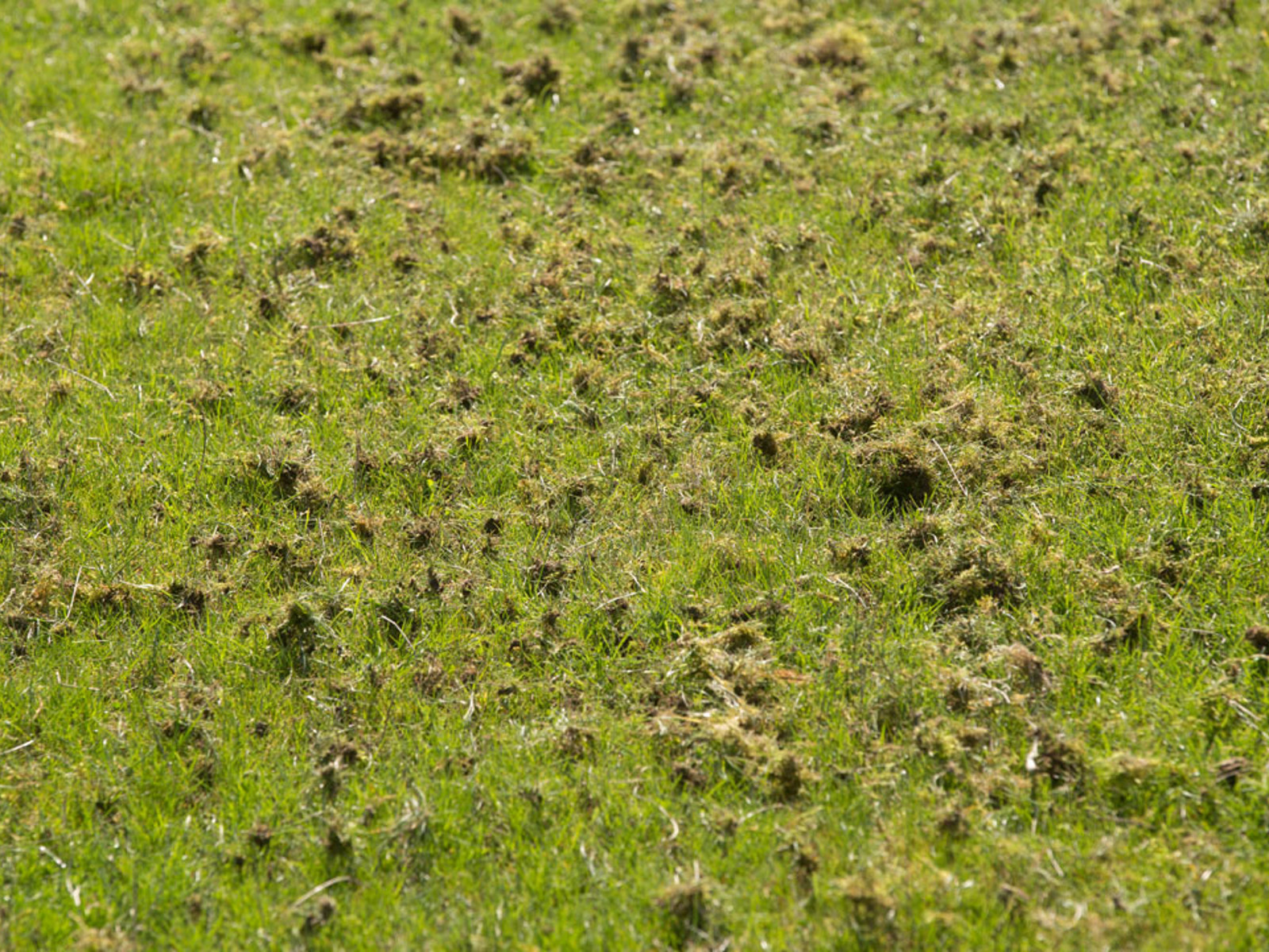 Grass Master - OPICO Products